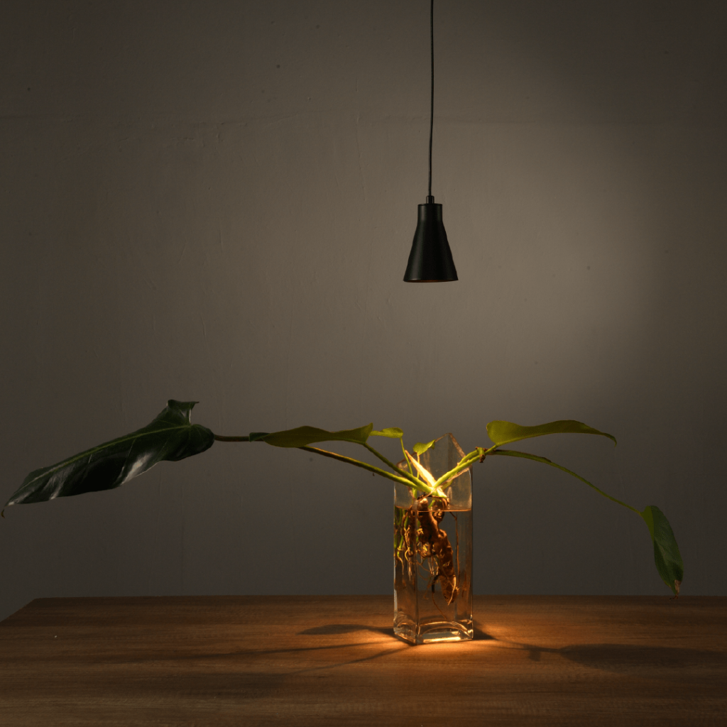 Apliques de pared (ext) – Studio Luce UY